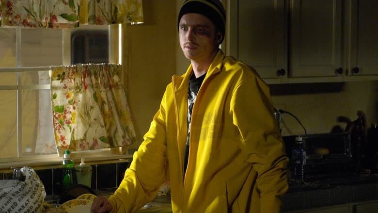 Breaking Bad 1. Sezon 3. Bölüm | Dizi izle